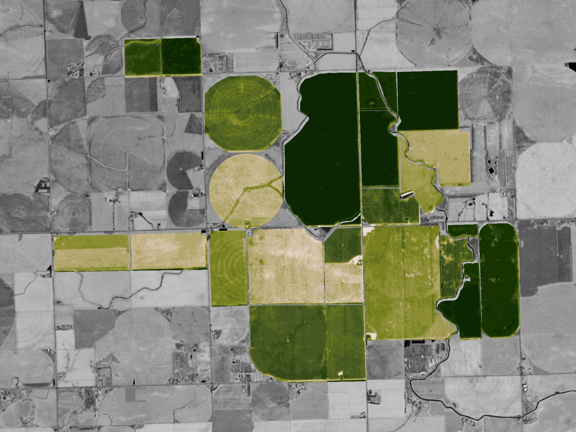 Agriculture - Satellite Imagery, Insight and Monitoring | Planet